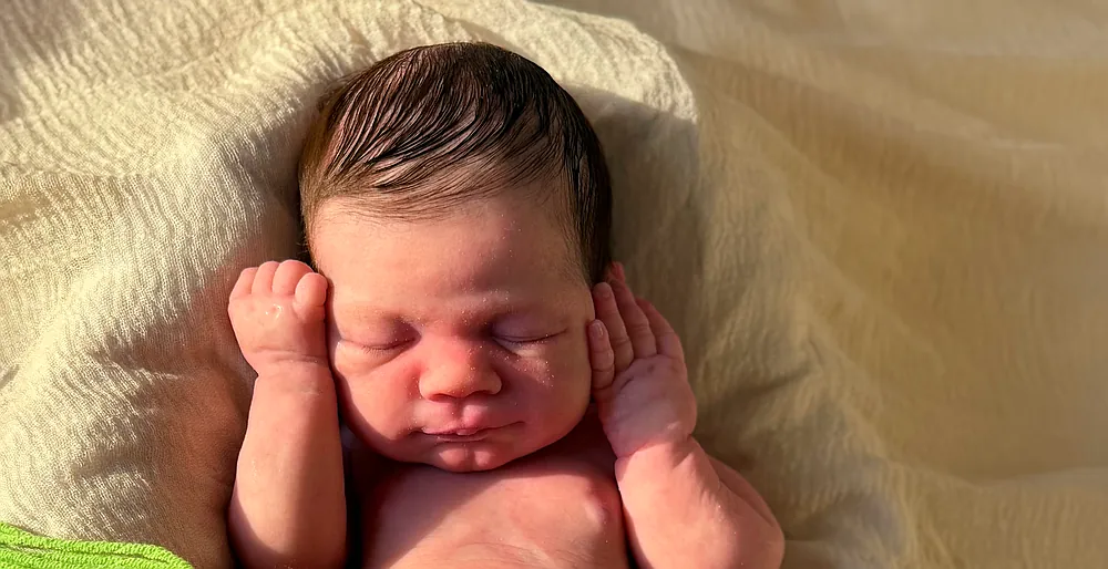 by Susan Gibbs from alicea on Reborns