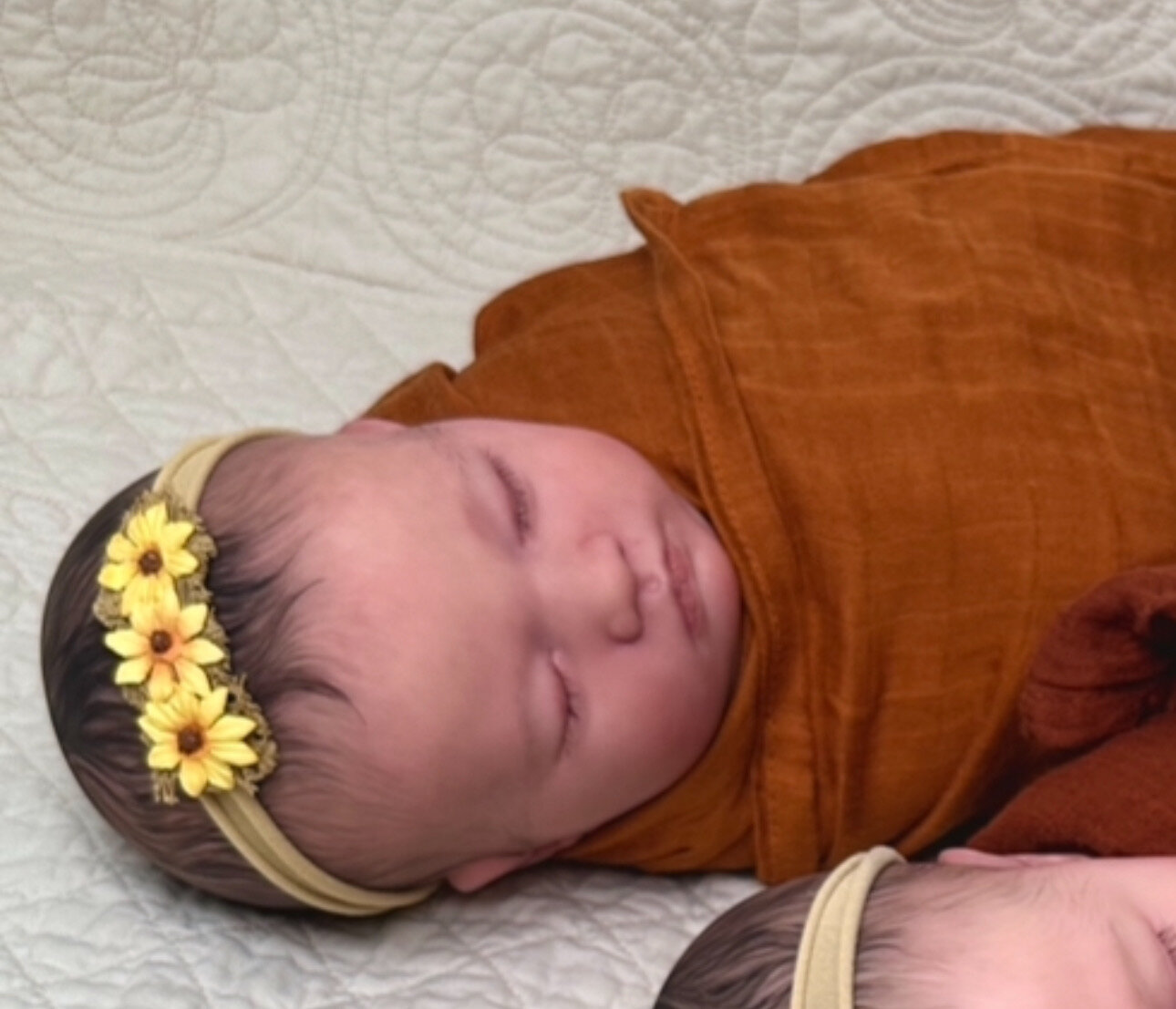 Laila by Mandy Marks from Chrysalis Dolls on Reborns