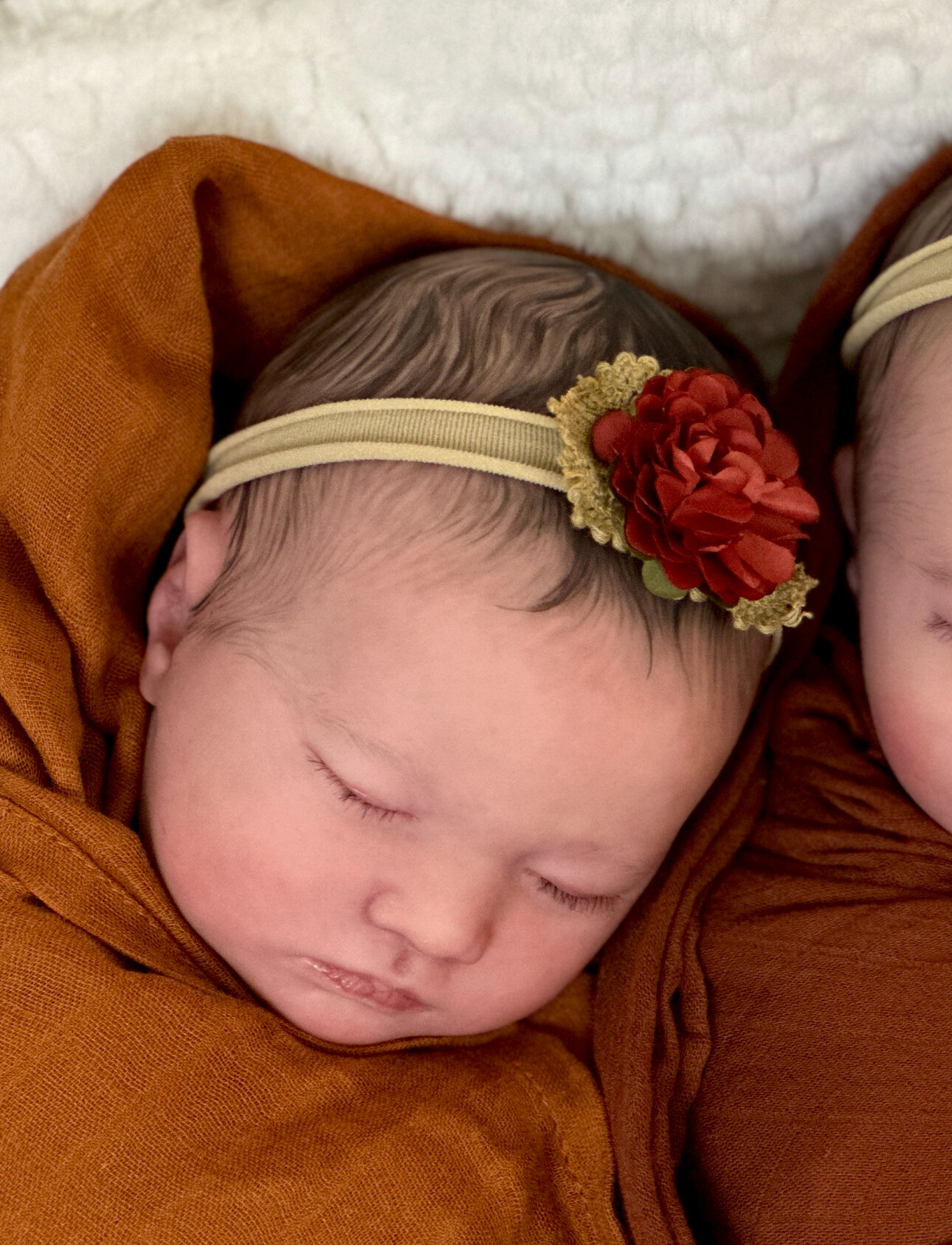 Laila by Mandy Marks from Chrysalis Dolls on Reborns