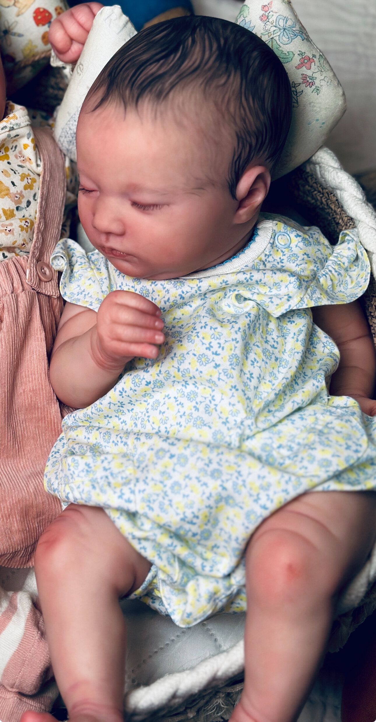Laila by Mandy Marks from Chrysalis Dolls on Reborns
