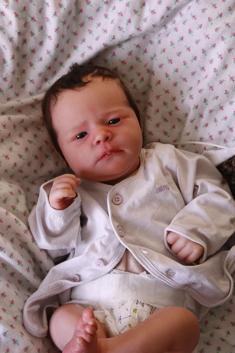 Ruby Awake Reborn Baby Doll by Hayley Collins | Faery Meadow Nursery