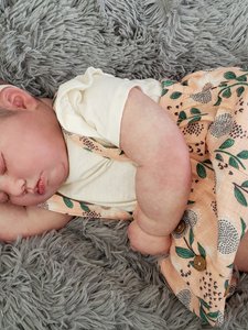 ABB4U Reborn Nursery - Reborns and Reborn Baby Dolls