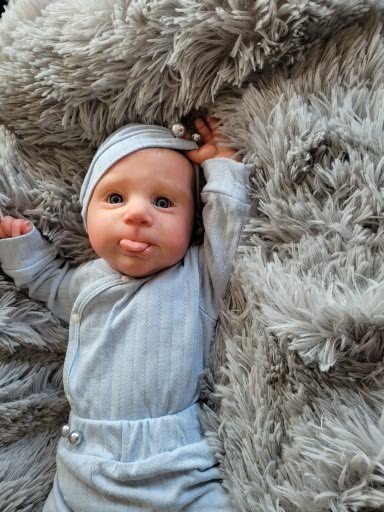 Sebby by Jeannie Coy of ABB4U Reborn Nursery - reborns.com