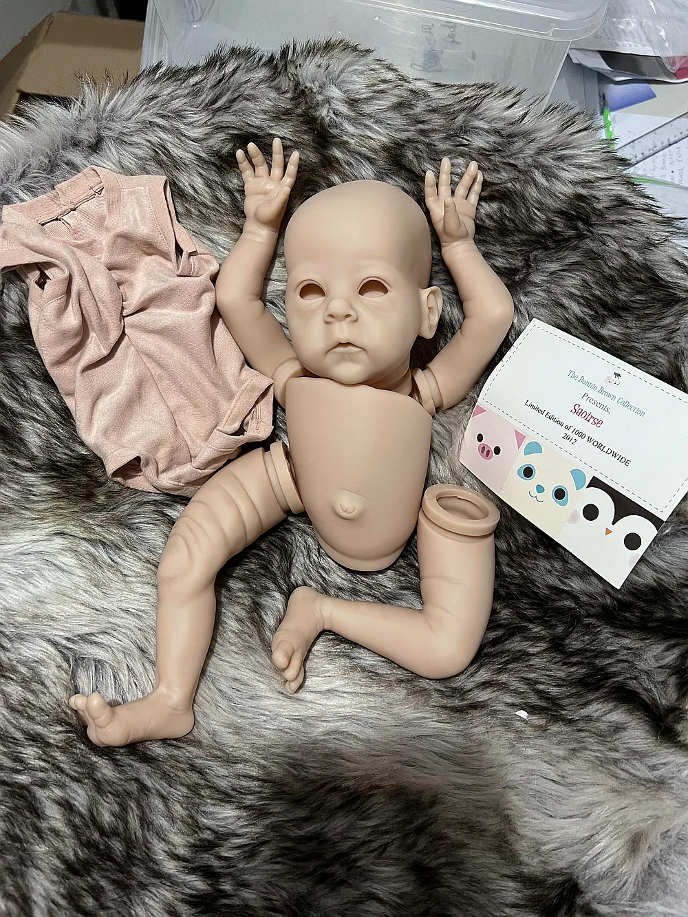 Saoirse by Narelle Adams from Rose Petals Reborn Nursery on Reborns