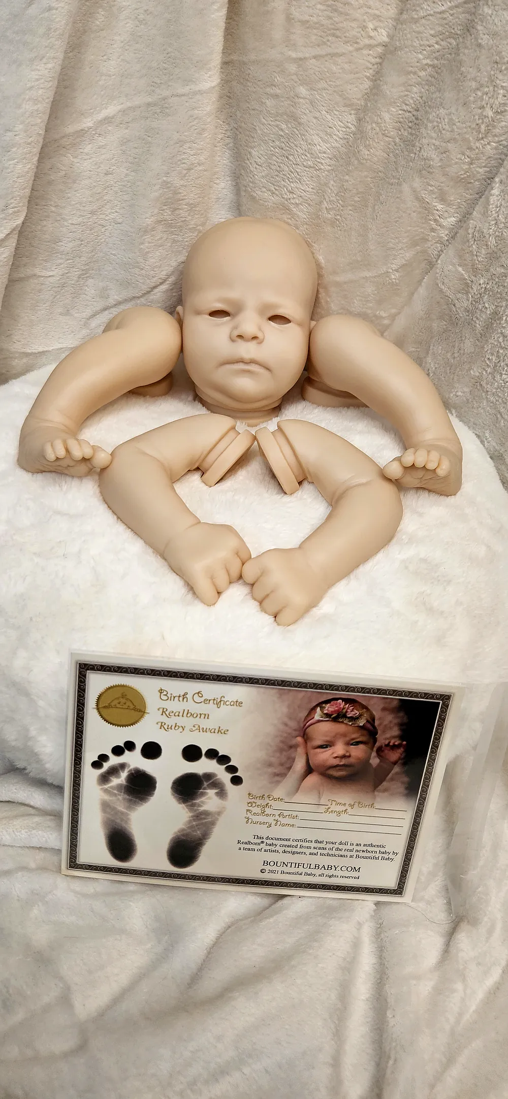 Ruby awake by Teresa Alice Ann Deneen from Everbloom on Reborns