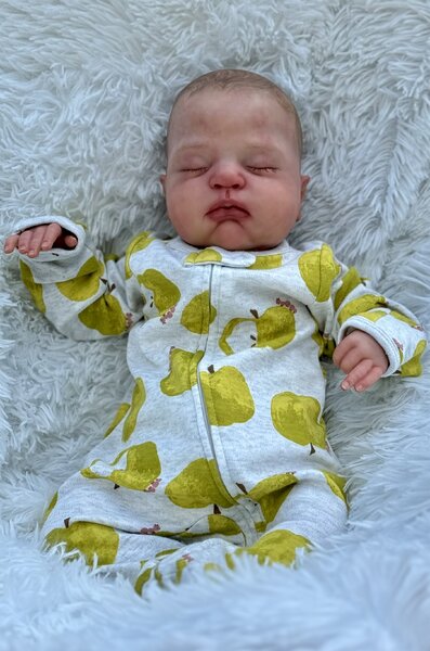 Remi-Ashton by Alice Sunzeri from Everlong Reborns on Reborns