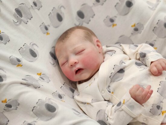 Colson by Deborah Miller from Always Precious and Tiny reborns on Reborns