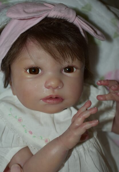 Addy by Elli Dutcher from Sofia Celeste Reborn Babies on Reborns