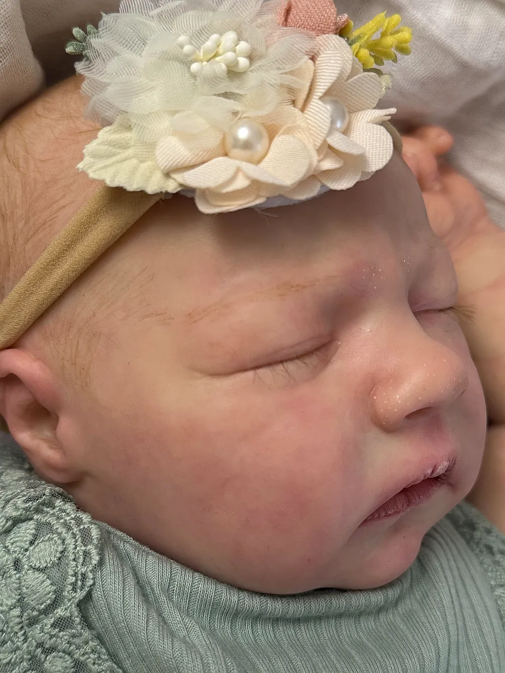 Alma Louise by Lori Knight from Peaceful Poppies Art Dolls on Reborns