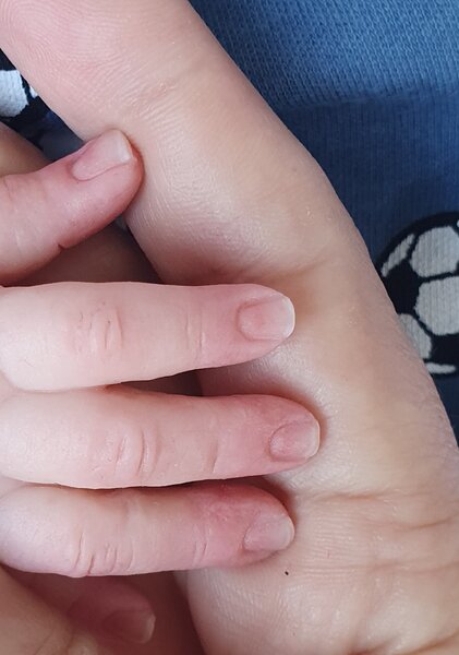 Tony by Angela Vidal of Angela Vidal Reborn Art - reborns.com