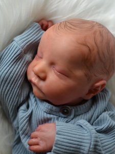 Picket Fence Babies - Reborns and Reborn Baby Dolls