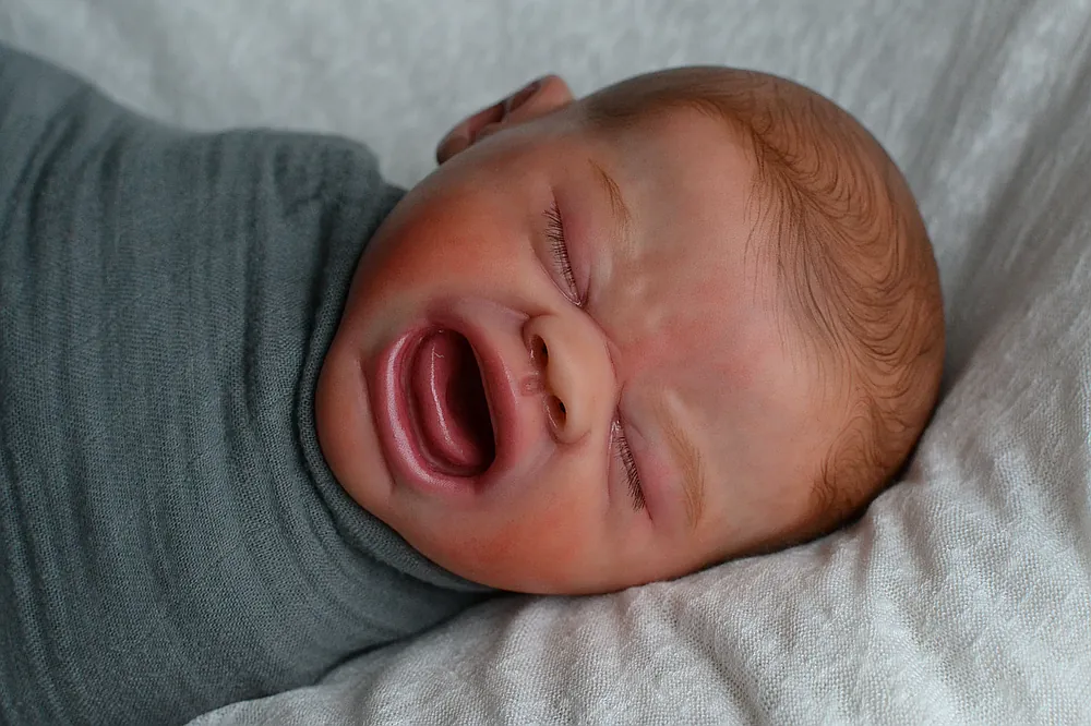 Quinton cuddle reborn doll by Rachel Laflamme | Picket Fence Babies