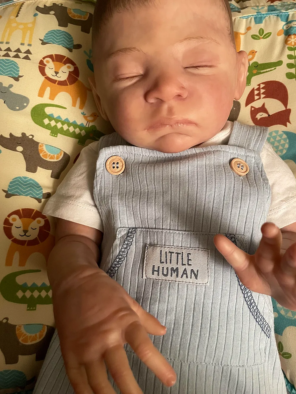 Tegan by Cynthia Ritter from Little Sweethearts Nursery on Reborns