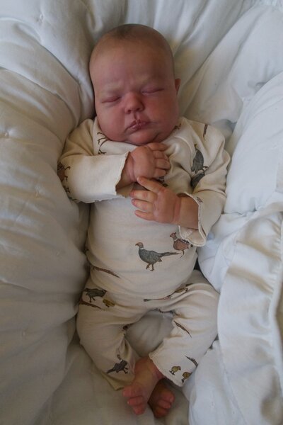 Tessa by Luzaan Louw from Little Doe Nursery on Reborns