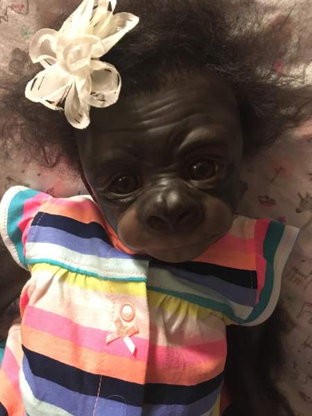 Kiwi Gorilla by Boisterous Baby Burrow from Winsome Wellspring on Reborns