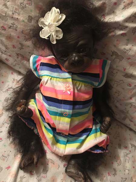 Kiwi Gorilla by Boisterous Baby Burrow from Winsome Wellspring on Reborns