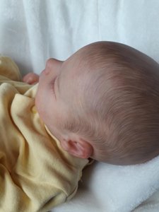 Hand Crafted Babies - Reborns and Reborn Baby Dolls