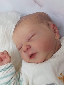 Hand Crafted Babies - Reborns and Reborn Baby Dolls