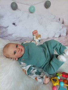 Hand Crafted Babies - Reborns and Reborn Baby Dolls