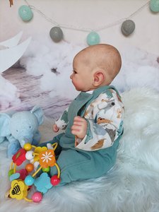 Hand Crafted Babies - Reborns and Reborn Baby Dolls