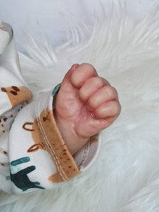 Hand Crafted Babies - Reborns and Reborn Baby Dolls