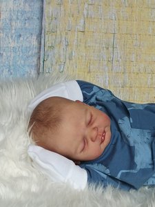 Hand Crafted Babies - Reborns and Reborn Baby Dolls