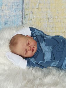 Hand Crafted Babies - Reborns and Reborn Baby Dolls