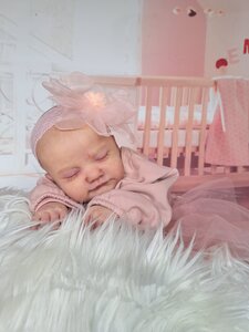Hand Crafted Babies - Reborns and Reborn Baby Dolls