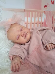 Hand Crafted Babies - Reborns and Reborn Baby Dolls