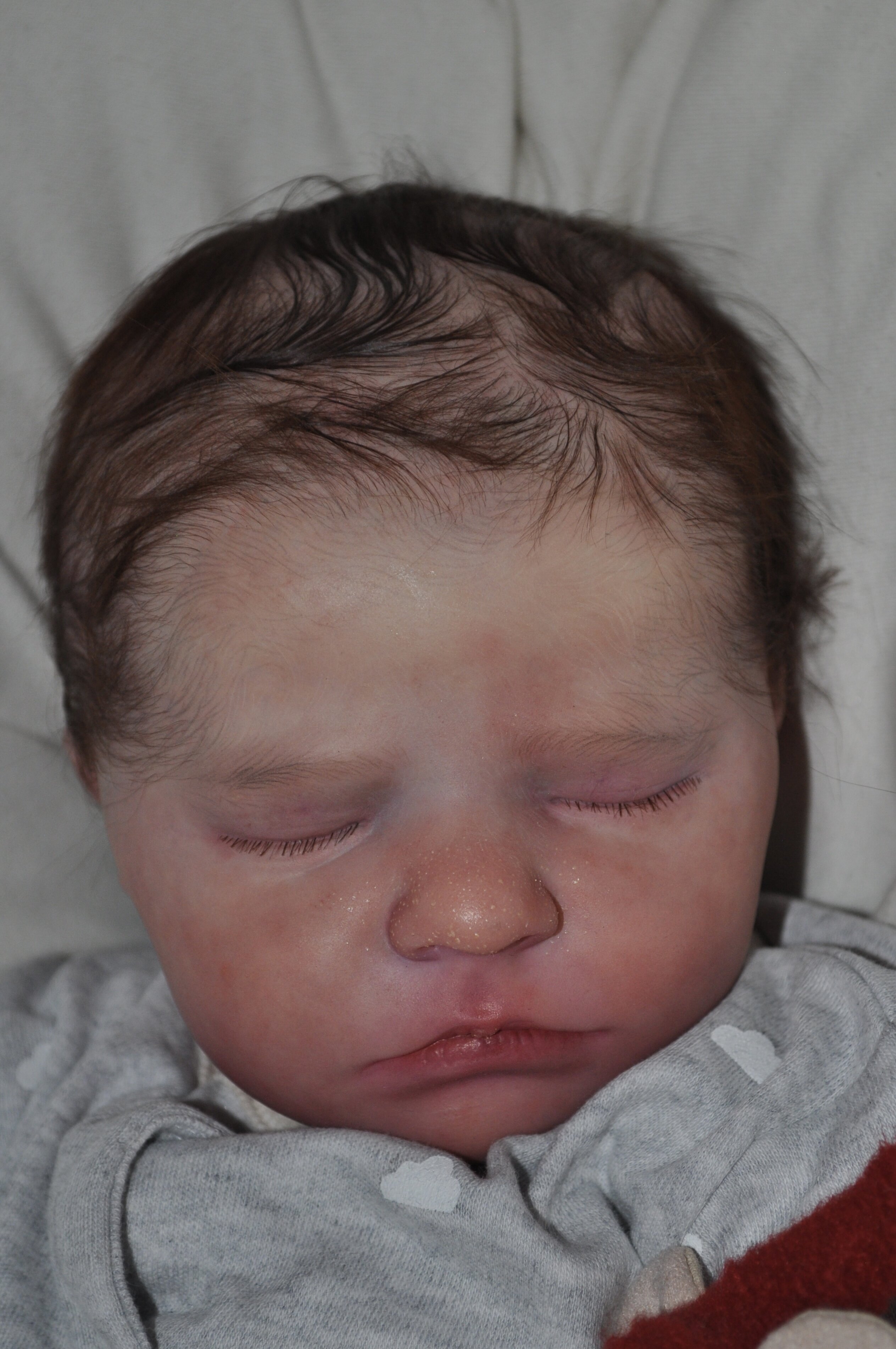 Quinn by Seji from Seji Reborns on Reborns