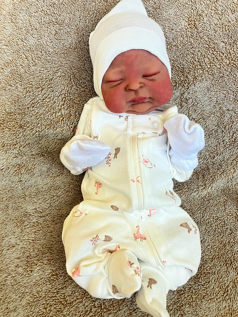 Jeanne by Kimberley Keller from Kimbry Dolls on Reborns