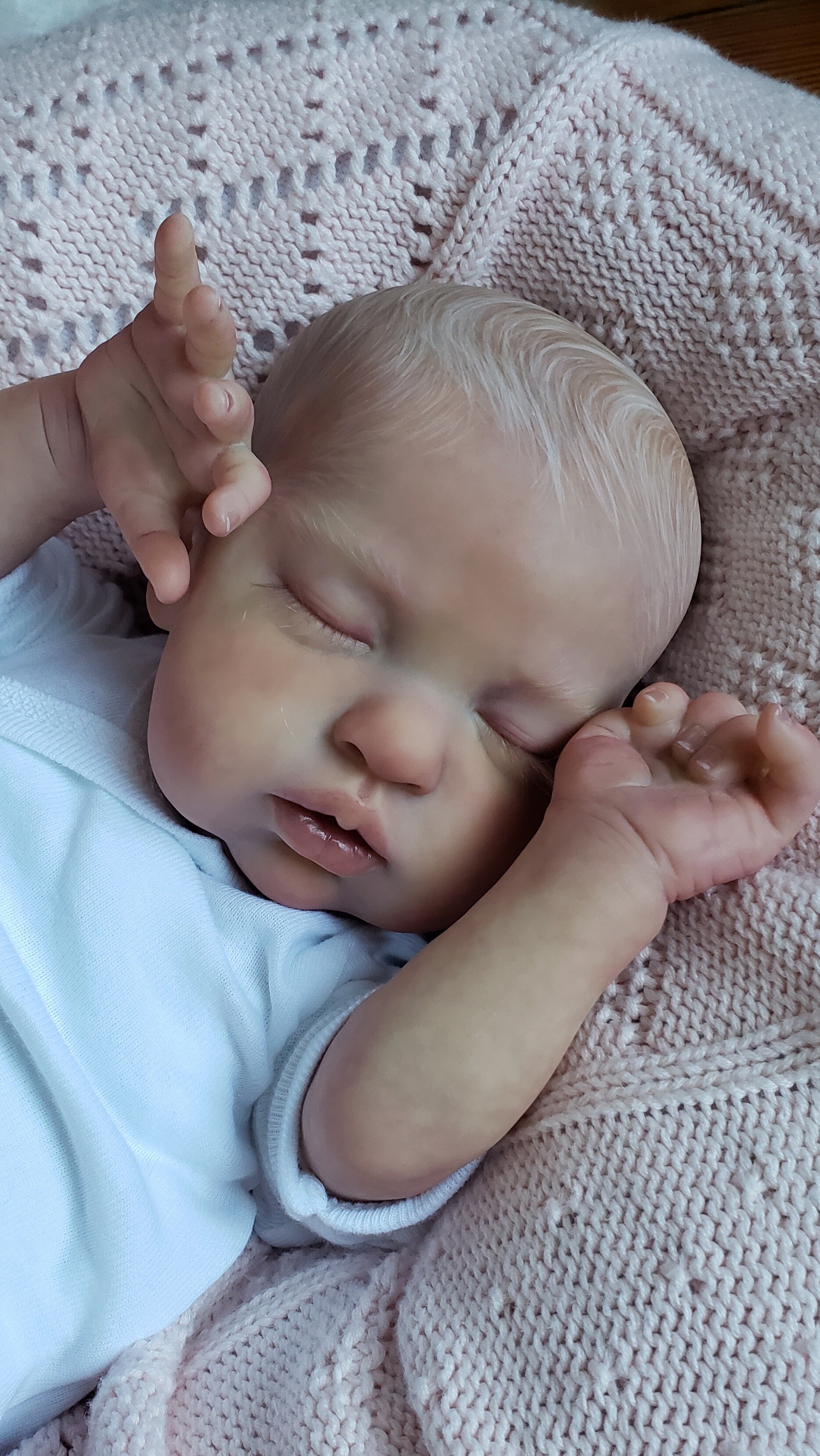 Teddy by Donna Rich from Aunt Daisy's Nursery on Reborns