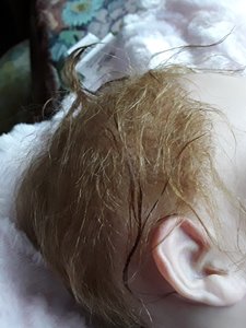 Bellybutton Babies Nursery - Reborns and Reborn Baby Dolls