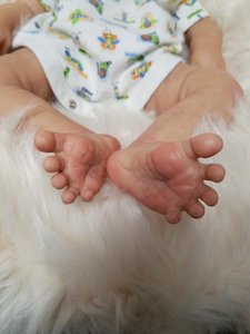 Bellybutton Babies Nursery - Reborns and Reborn Baby Dolls