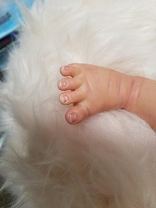 Bellybutton Babies Nursery - Reborns and Reborn Baby Dolls