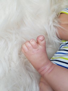 Bellybutton Babies Nursery - Reborns and Reborn Baby Dolls