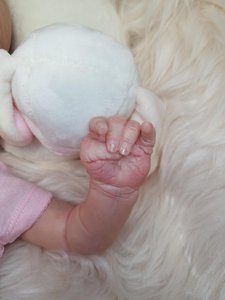 Bellybutton Babies Nursery - Reborns and Reborn Baby Dolls