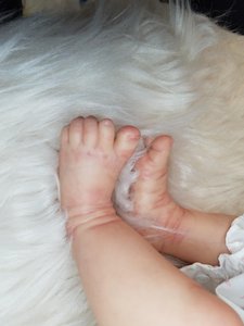 Bellybutton Babies Nursery - Reborns and Reborn Baby Dolls