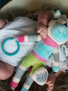 Reborns by Zebra - Reborns and Reborn Baby Dolls