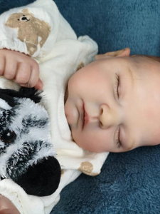 Reborns by Zebra - Reborns and Reborn Baby Dolls