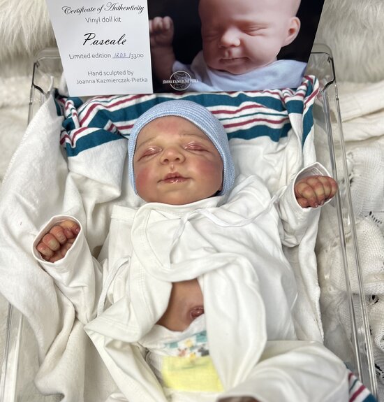 Sugar by Anna Jones from Ballerina Baybee Gallery on Reborns