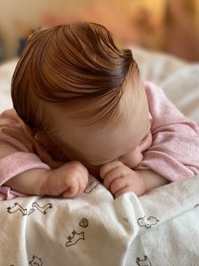Reborn Dolls and Lifelike Baby Dolls