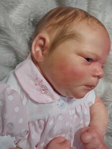 Reborn Dolls by Maddy - Reborns and Reborn Baby Dolls