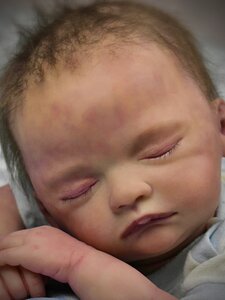 Carried Away Cuties - Reborns and Reborn Baby Dolls