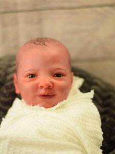 A Givens Baby - Reborns and Reborn Baby Dolls