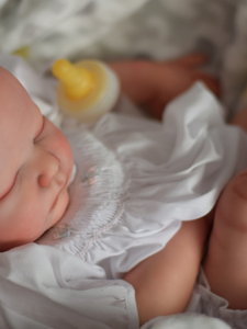 A Givens Baby - Reborns and Reborn Baby Dolls