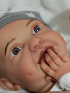 A Givens Baby - Reborns and Reborn Baby Dolls