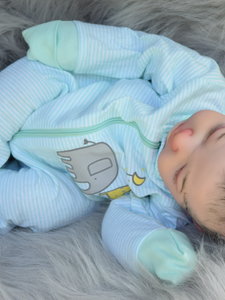 A Givens Baby - Reborns and Reborn Baby Dolls