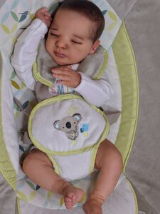 A Givens Baby - Reborns and Reborn Baby Dolls