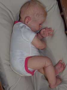 A Givens Baby - Reborns and Reborn Baby Dolls